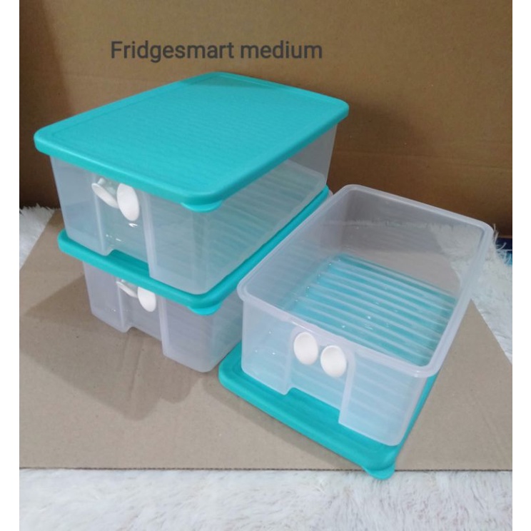 Jual Fridgesmart medium | Shopee Indonesia