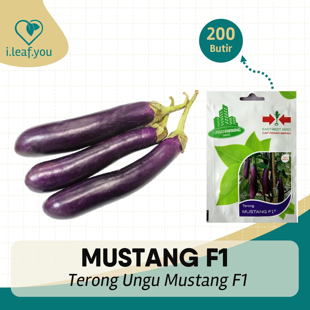 Jual Benih Terong Ungu Mustang Cap Panah Merah Kemasan Original | Shopee Indonesia