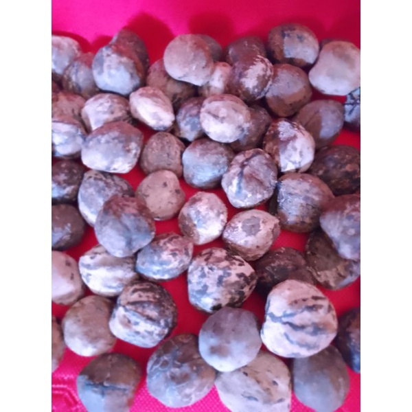 Jual Tingkih kulit ( kemiri berkulit ) ( tingkih daksina ) | Shopee ...