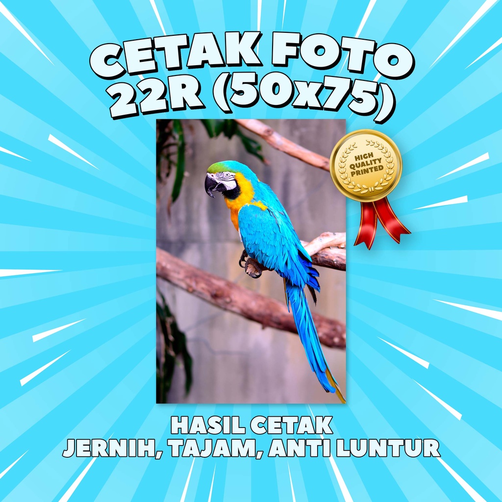 Jual Cetak Foto Ukuran Besar 22R (50x75) Tanpa Bingkai - High ...