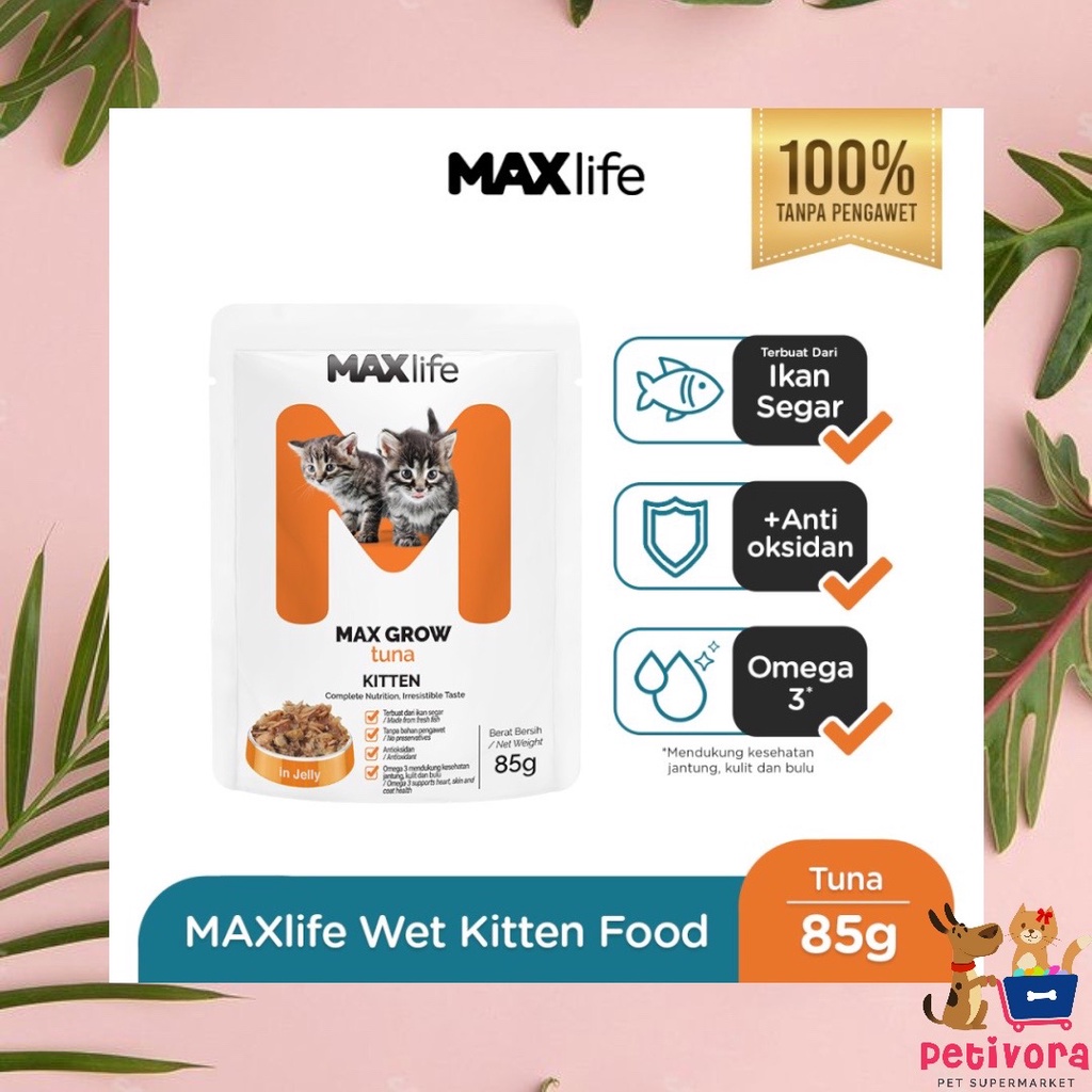 Jual Maxlife Wet Pouch 85gr for Cat Kitten Makanan Kucing Basah Sachet ...