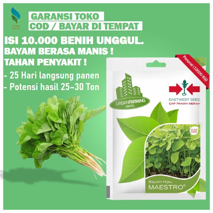 Jual Benih Sayuran Benih Sayur Bayam Bibit Sayuran Benih Tanaman ...