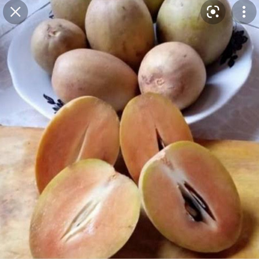 Jual buah sawo madu 500gr sawo madu manis | Shopee Indonesia