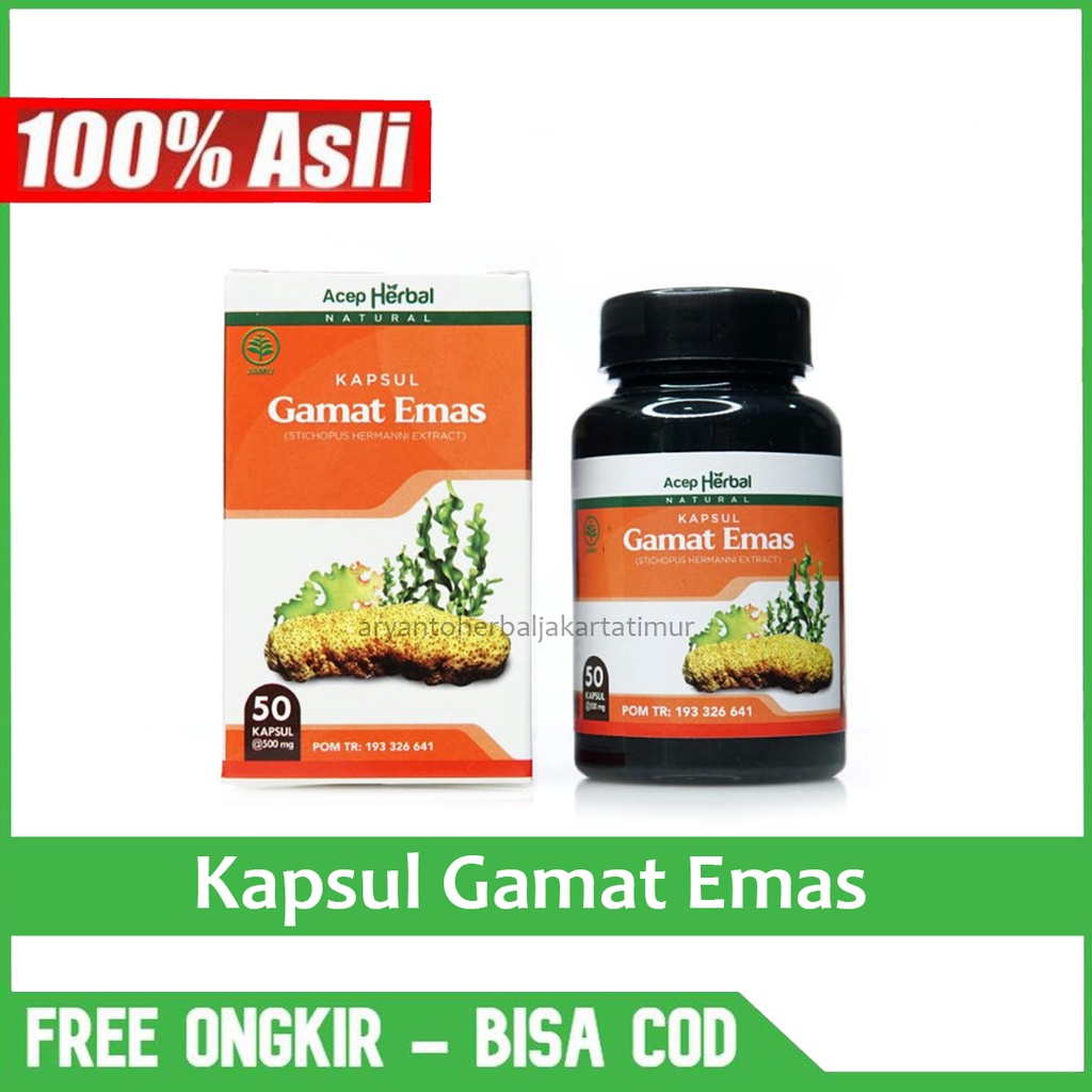 Jual Kapsul Gamat Emas Original Suplemen Ekstrak Teripang Emas ASLI di ...