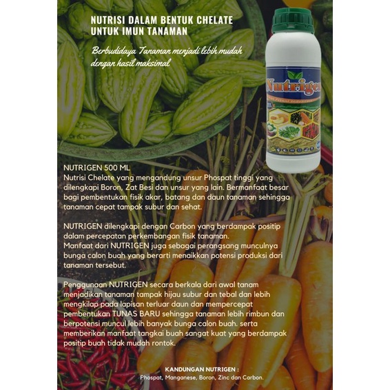 Jual Nutrigen | Shopee Indonesia