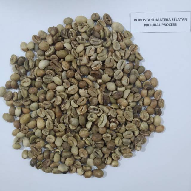 Jual Green Bean Robusta Lampung/Sumatera Selatan G4 C/80 - Natural ...
