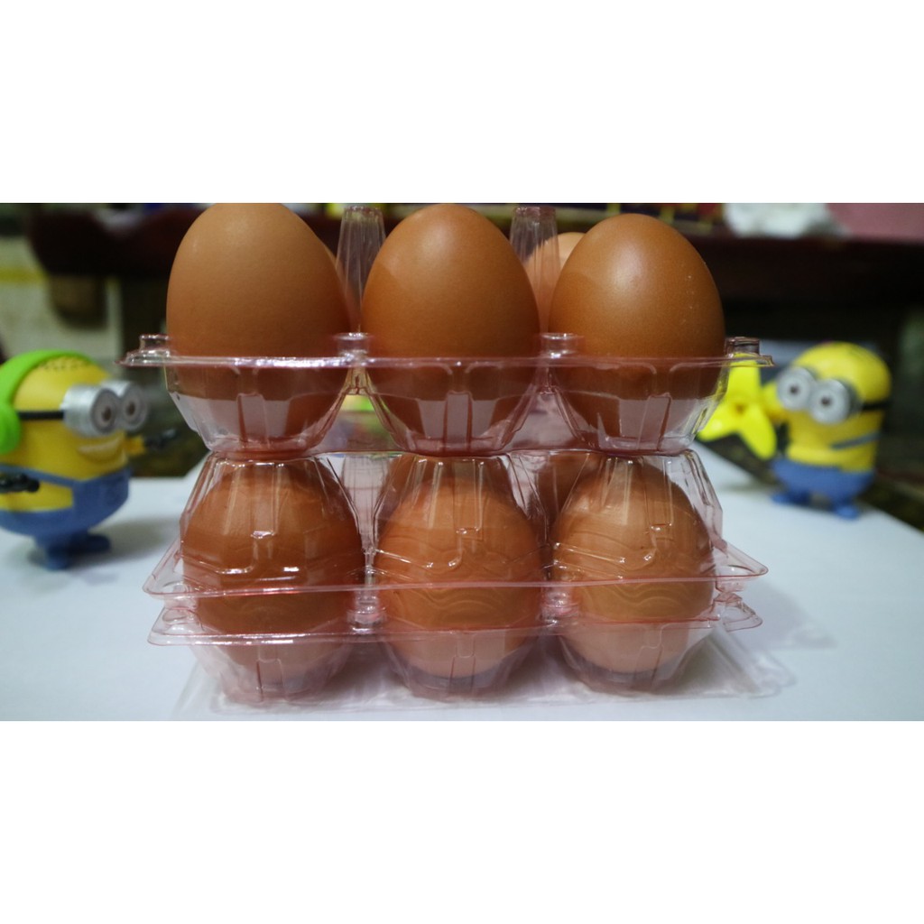 Jual Mika telur isi 6 / egg tray/tray egg 300 pcs | Shopee Indonesia