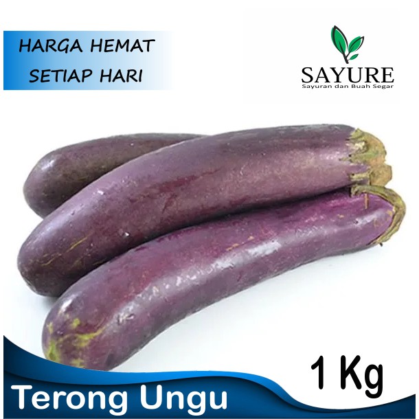 Jual TERONG UNGU FRESH 1 KG | Shopee Indonesia