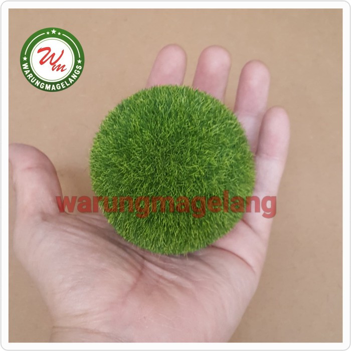 Jual BOLA Tanaman sintetis Aquascape Terrarium Marimo Moss Ball Rumput ...