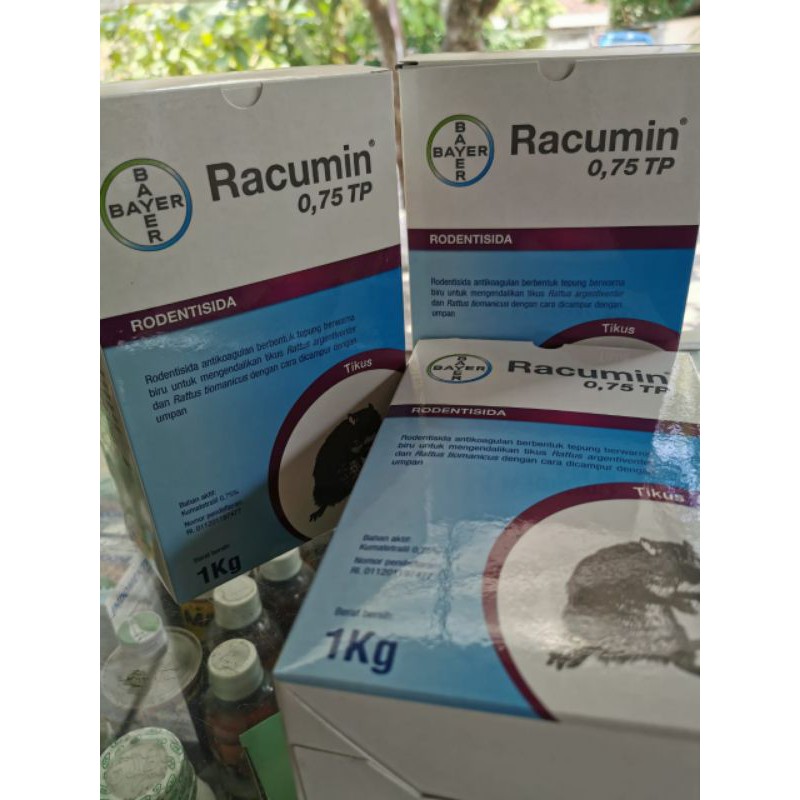 Jual Racun Tikus Racumin 1kg 1 kg | Shopee Indonesia