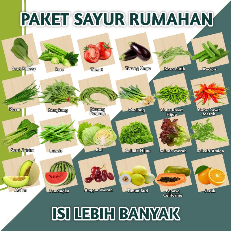 Jual PAKET SAYUR RUMAHAN LENGKAP SERIBUAN HIDROPONIK SAWI PAKCOY SAWI ...