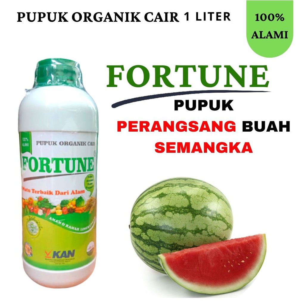 Jual Pupuk Organik Cair Tanaman Perangsang Buah Semangka POC FORTUNE ...
