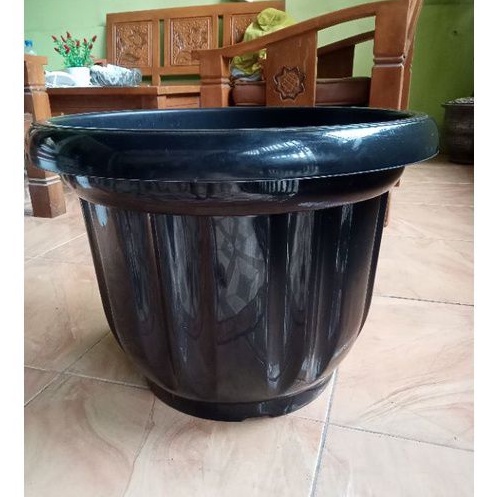 Jual Pot Tanaman Besar Ebbony 50/Pot Tabulampot ukuran 50 | Shopee ...