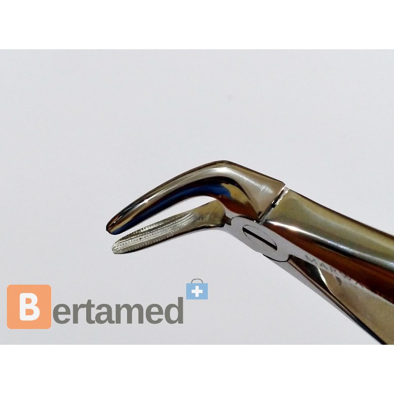 Jual MARWA Tooth Extracting Forcep For Adult - Tang Cabut Gigi Dewasa ...