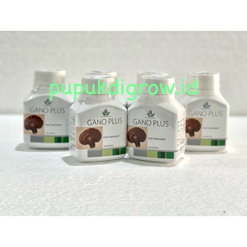 Jual GANO PLUS GANODERMA LUCIDIUM 100 KAPSUL OBAT DIABETES KRONIS ...