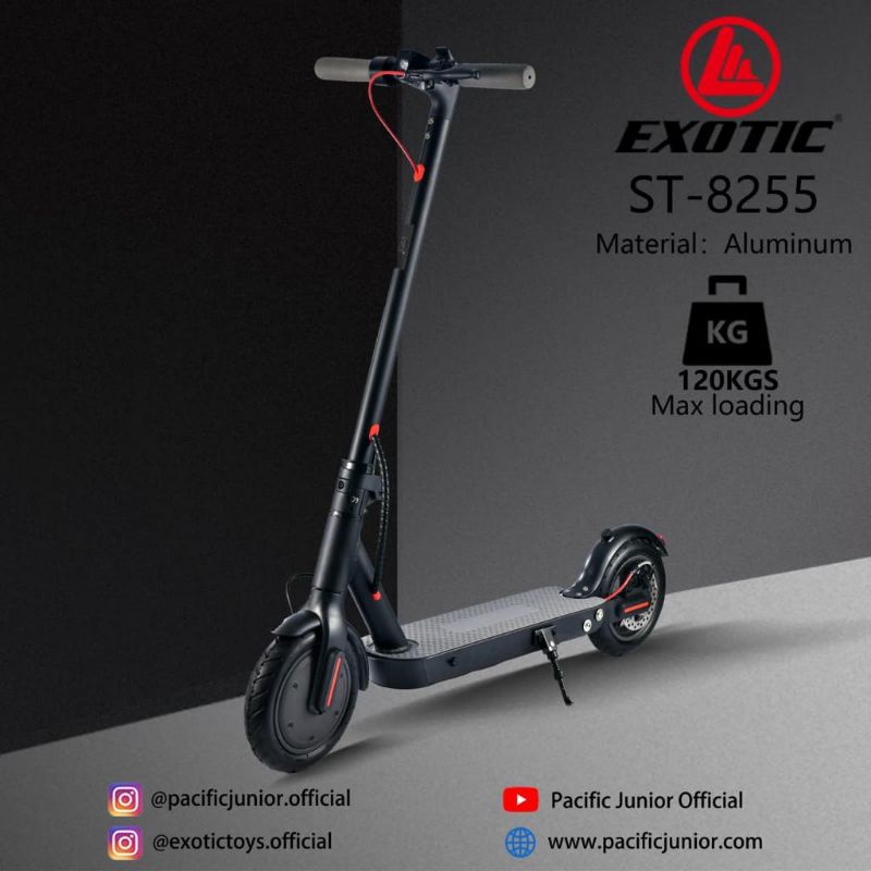 Jual Sekuter / Skuter Listrik / Scooter electric Lipat Dewasa Exotic ST ...