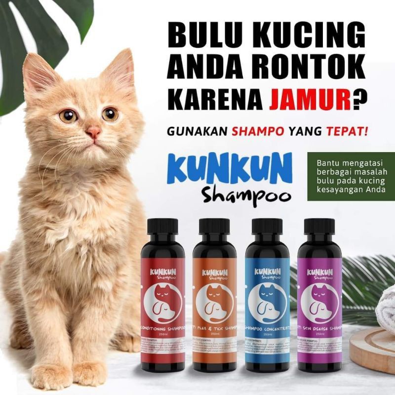 Jual SHAMPOO KUNKUN 100 ML | Shopee Indonesia