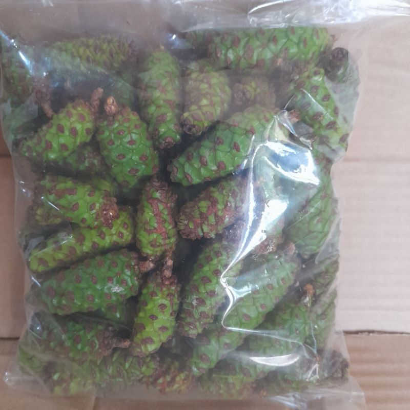 Jual Buah pinus Muda segar petik langsung per 500 grm | Shopee Indonesia
