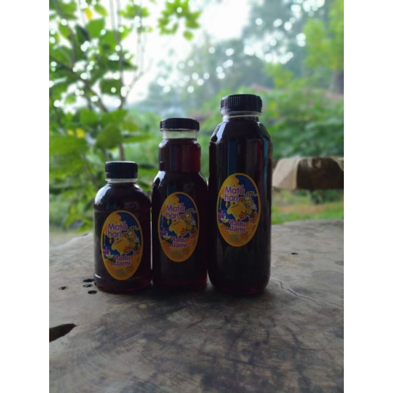Jual Madu hutan tawon gung | Shopee Indonesia