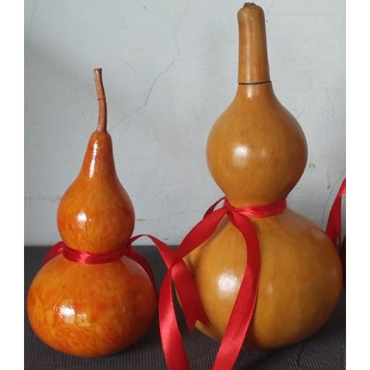 Jual LABU BOTOL KERING NATURAL HOKI GOURD BOTTLE | Shopee Indonesia