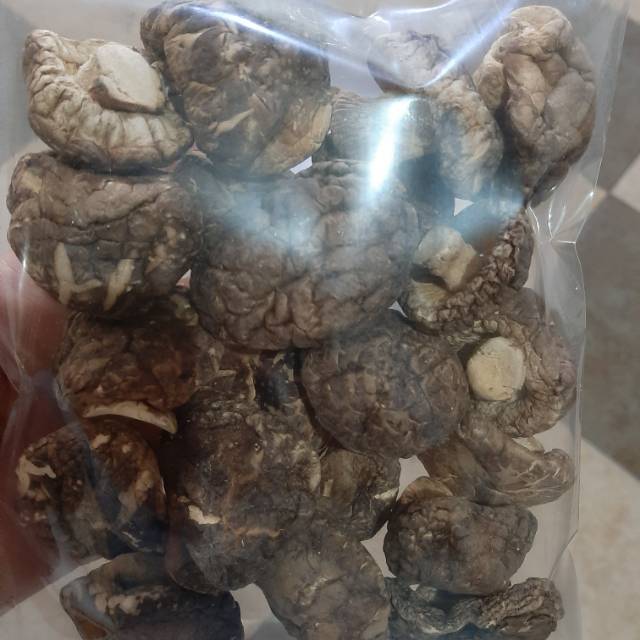 Jual Jamur Hioko Shitake 100 gram | Shopee Indonesia