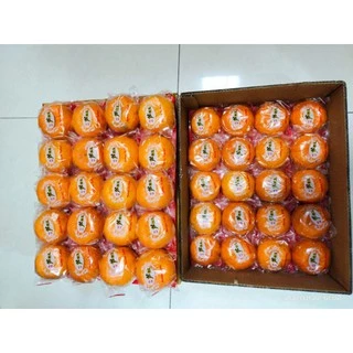 Jual Jeruk Ponkam Terlengkap & Harga Terbaru Desember 2025 | Shopee ...