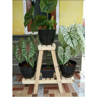 Jual rak bunga kayu susun murah minimalis / pot bunga kayu minimalis ...