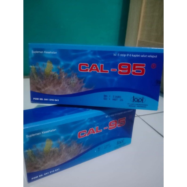 Jual CAL 95 (isi 5 strip @6 kaplet) | Shopee Indonesia