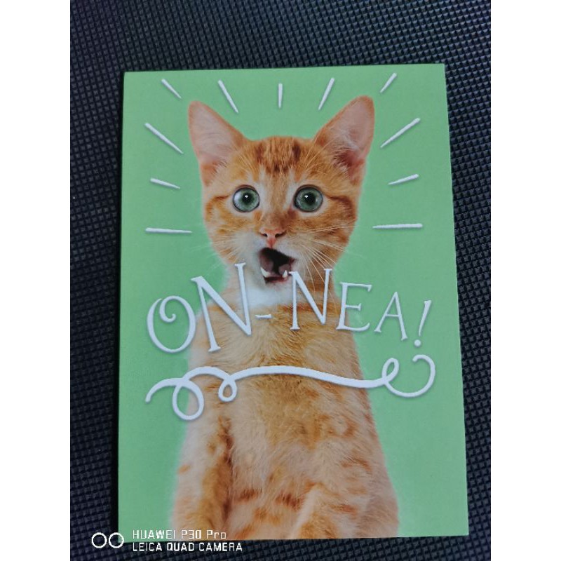 Jual kartu pos kucing/cat postcard | Shopee Indonesia