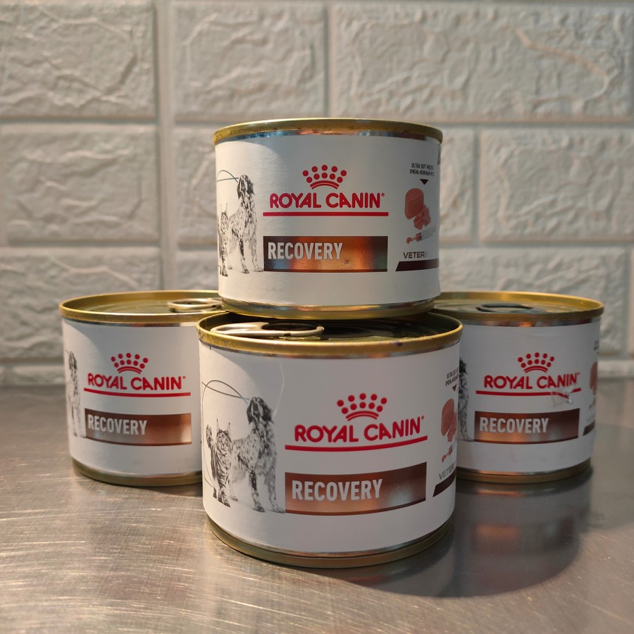 Jual Royal Canin Recovery Kaleng 195gram - Wetfood Makanan Basah Rc ...