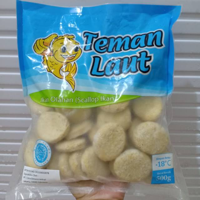Jual Teman Laut Scallop Ikan 500 gram | Shopee Indonesia