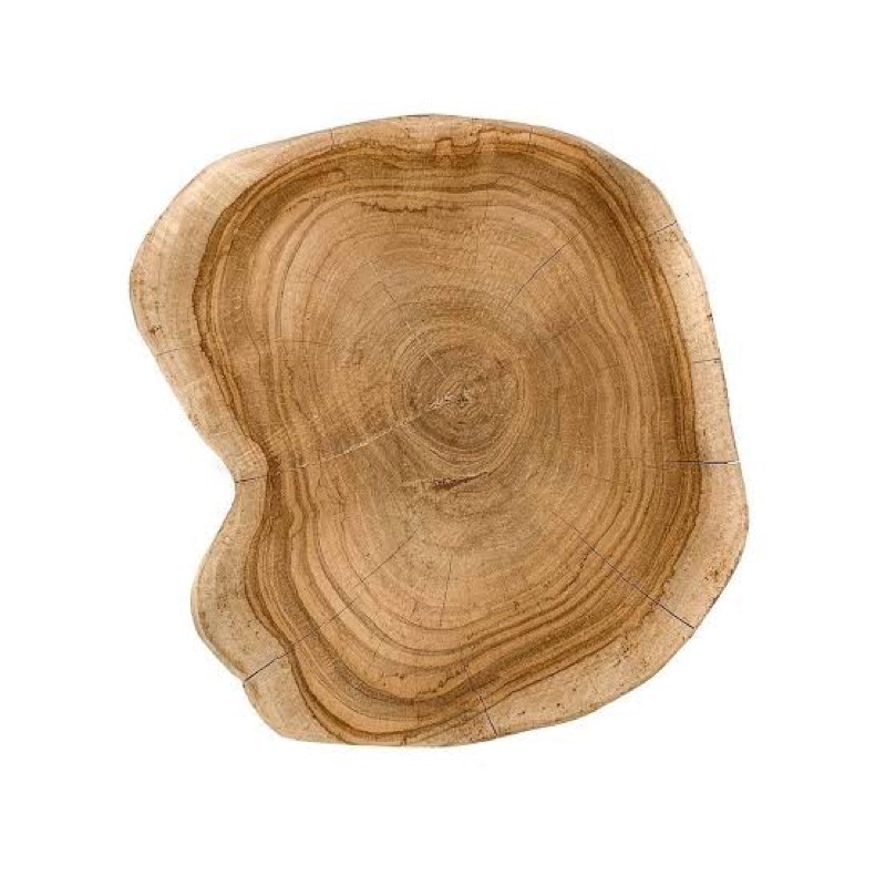 Jual SLICE WOOD MENTAHAN AKAR KAYU JATI - TOP TABLE / TATAKAN POT AKAR ...