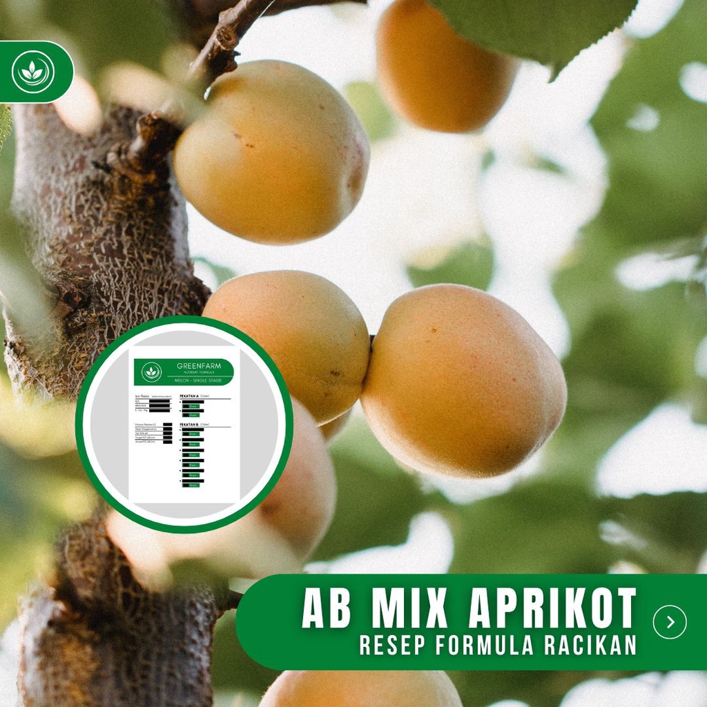 Jual Resep AB Mix Aprikot Formula Racikan Nutrisi Pupuk Buah Aprikot ...