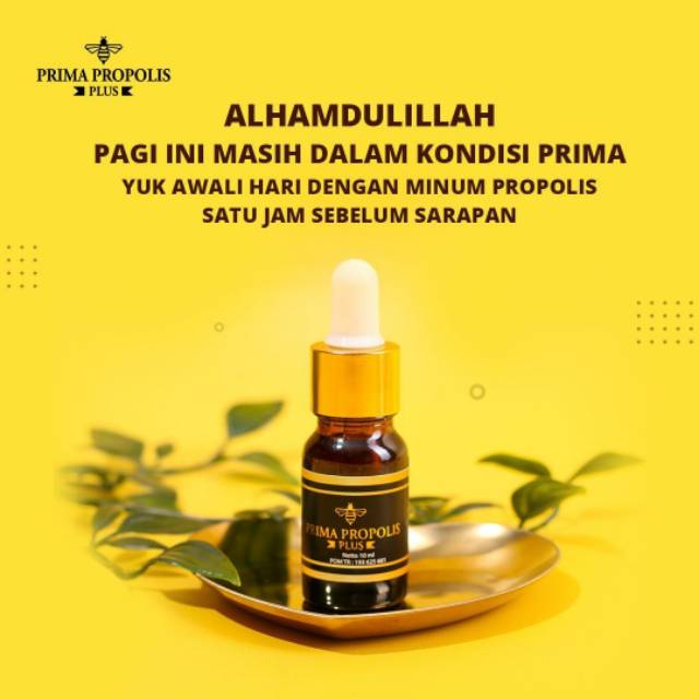 Jual Prima Propolis Plus By B erl /Anti kanker dan Antivirus | Shopee ...