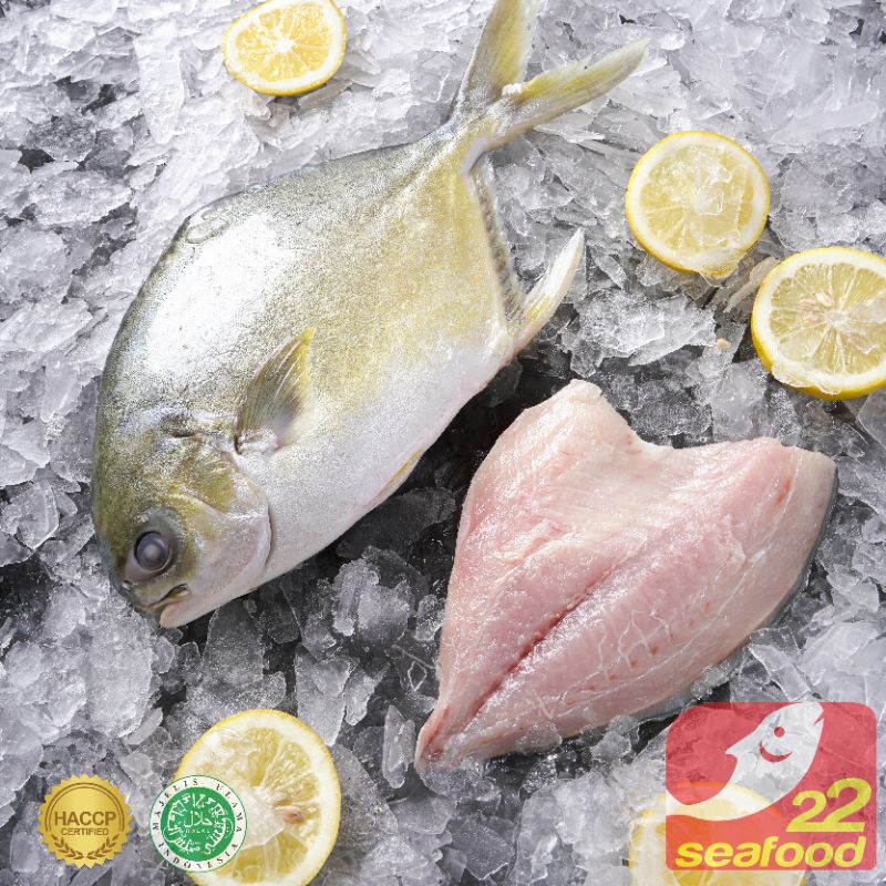 Jual Ikan Bawal Bintang Fillet Skin On Boneless / Golden Pompano ...