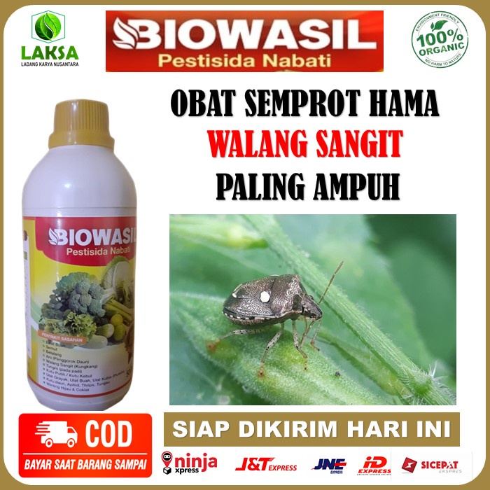 Jual Pestisida BIOWASIL 500 ML Obat Semprot Hama Walang Sangit ...