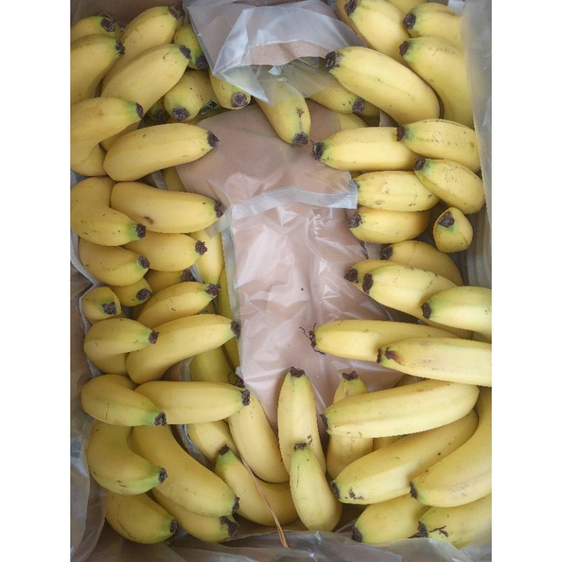 Jual Pisang Sunpride 1 Dus isi 13 kg | Shopee Indonesia