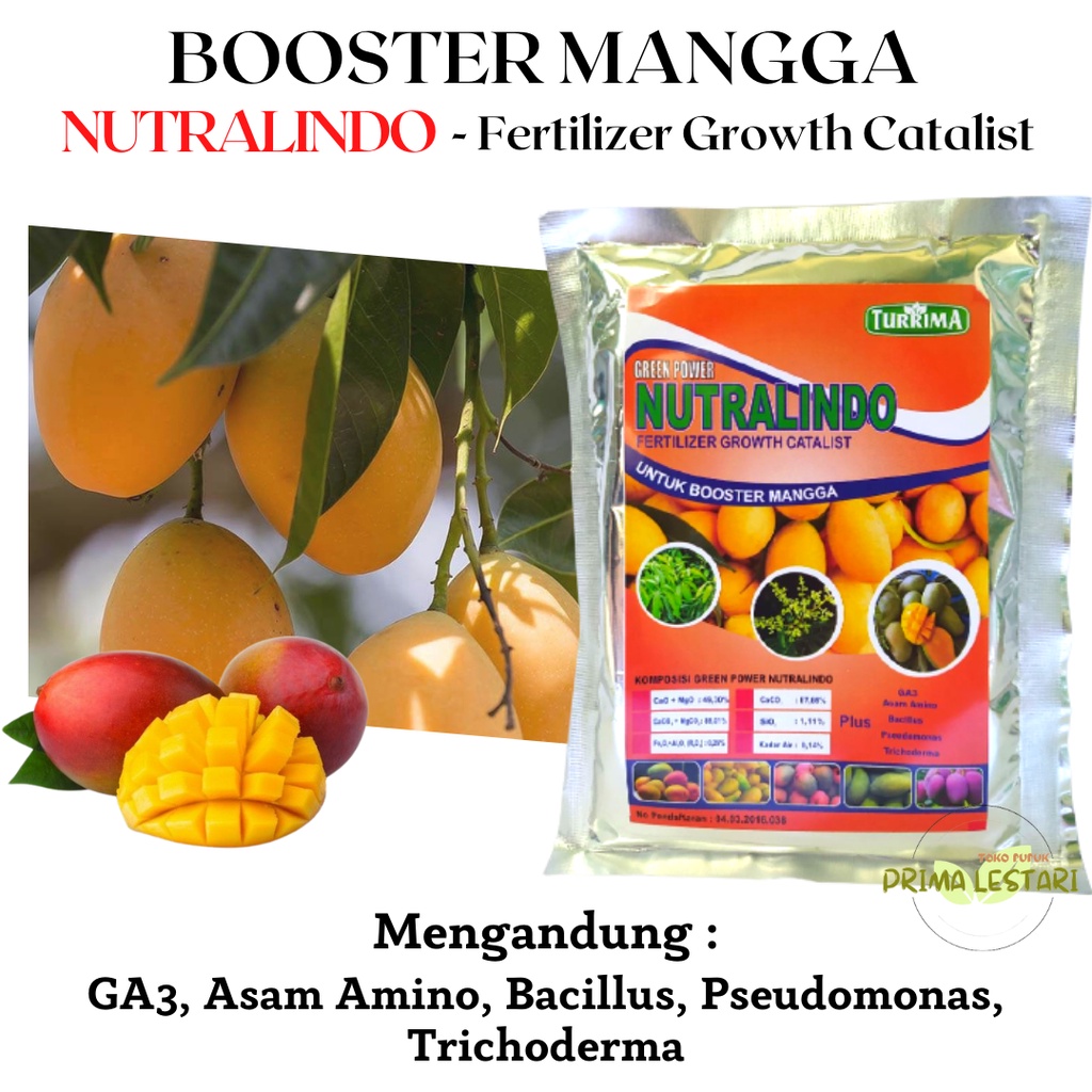 Jual Pupuk Perangsang Buah Mangga, Pupuk Mangga Booster, Pupuk Mangga ...