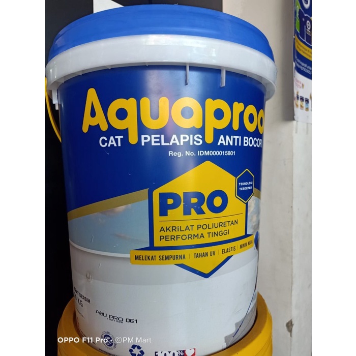 Jual Aquaproof Pro Leak-proof Coating Paint (Cat Pelapis Anti Bocor ...
