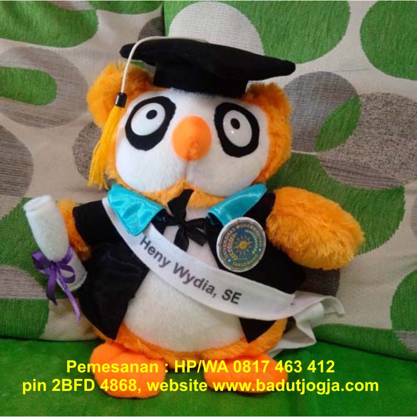 Jual Boneka Wisuda Owl pls Pin dan Bordir Nama 30 cm | Shopee Indonesia