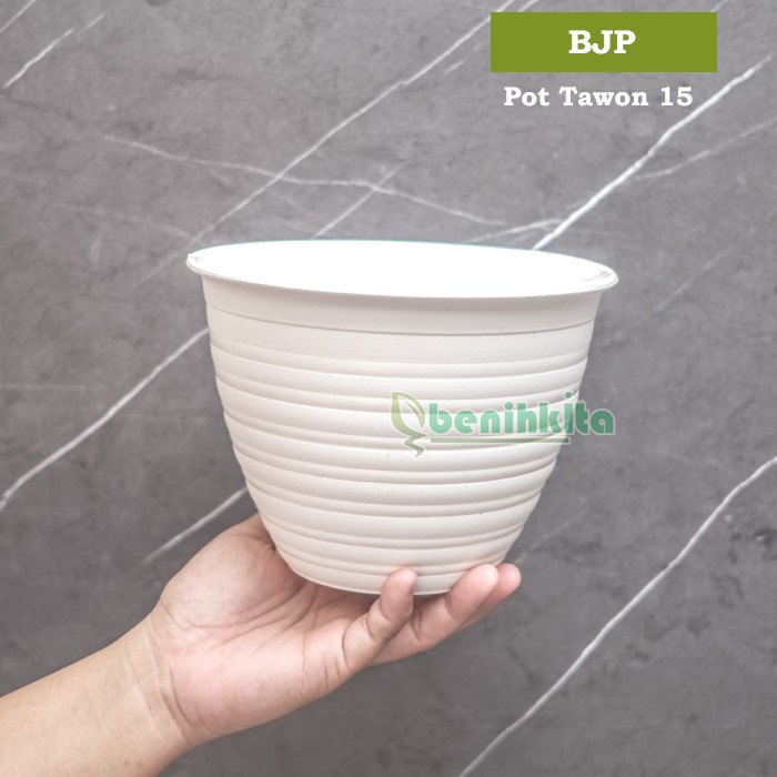 Jual Pot Tanaman Bunga Tawon Ori 15 Putih (BJP) | Shopee Indonesia