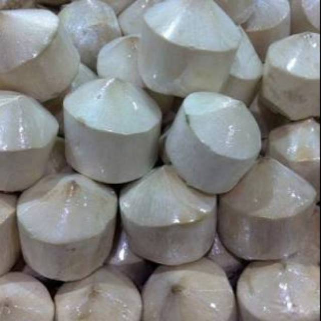 Jual kelapa muda diamond/kerucut | Shopee Indonesia