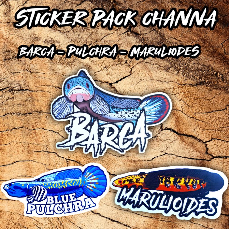 Jual Stiker pack ikan channa 3pcs (barca, pulchra, maru) BISA COD ...
