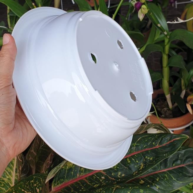 Jual SHOPEE MALL Pot bunga BONSAI 25 PUTIH HITAM Pot ceper Pot Bonsai ...