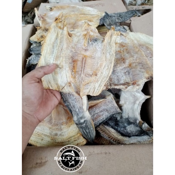 Jual ikan asin GABUS KERING :1KG BEST SELER | Shopee Indonesia