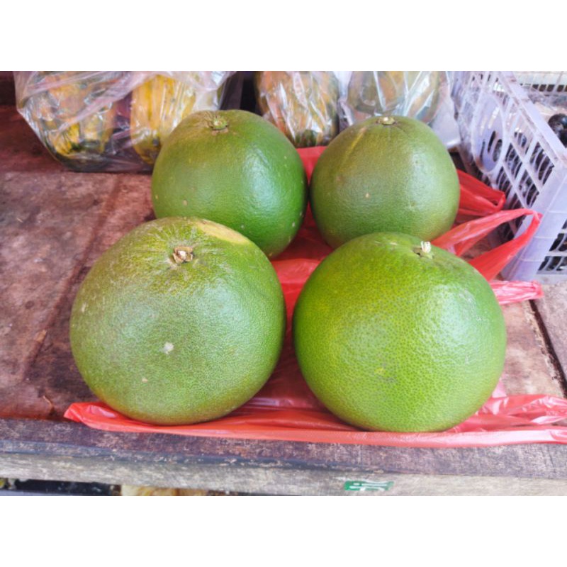 Jual jeruk bali /1 buah | Shopee Indonesia