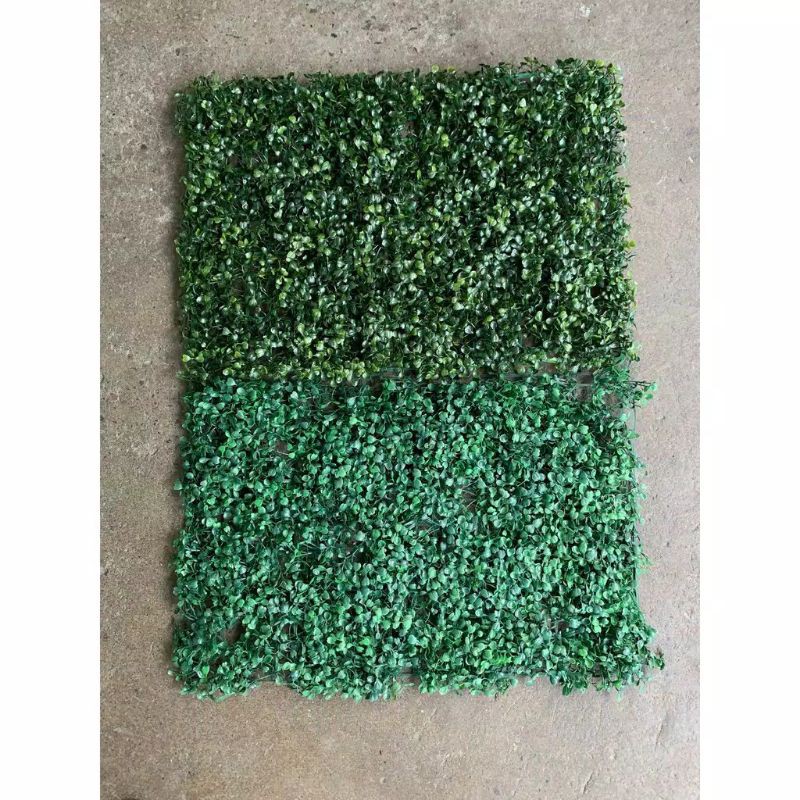 Jual RUMPUT DASAR/RUMPUT AQUARIUM/RUMPUT HIASAN/RUMPUT DINDING/RUMPUT ...
