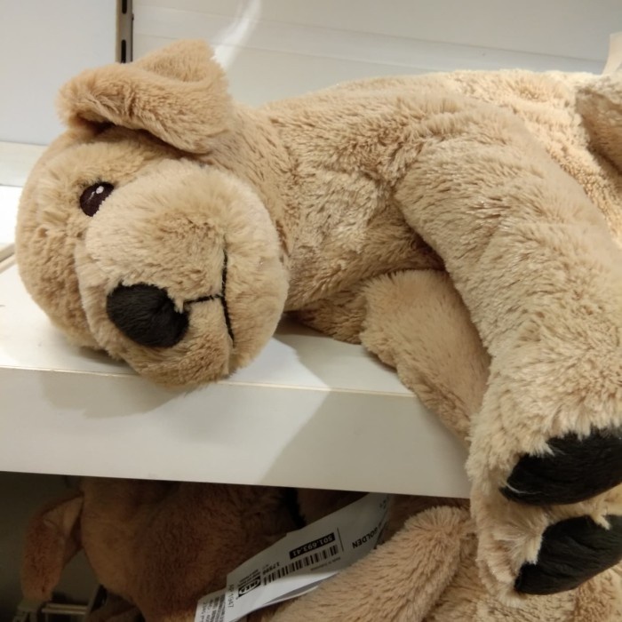 Jual Gosig soft toy dog doll,boneka anjing warna golden,40cm | Shopee ...