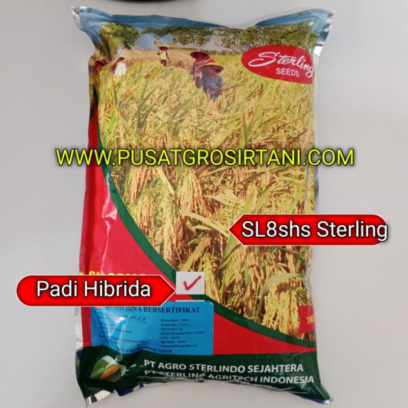 Jual BENIH PADI|BENIH STERLING|STERLING SL8SHS|BENIH SL8SHS|NASI PULEN ...