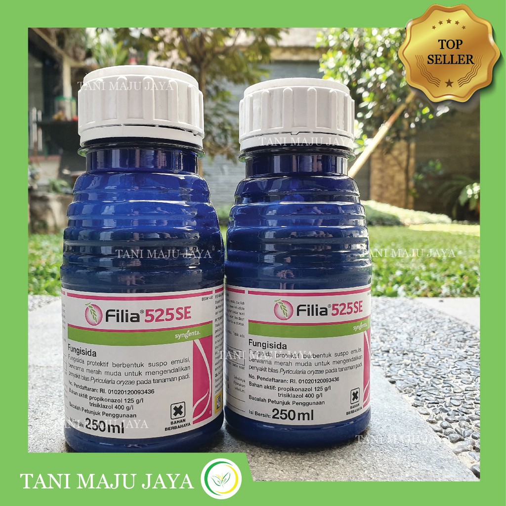 Jual Fungisida Filia 525SE 250 ml ORIGINAL ASLI 100% SYNGENTA Obat ...